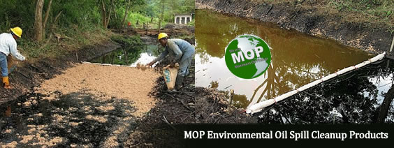 A Green approach for Big Oil. Eco-friendly oil spill cleanup and ...